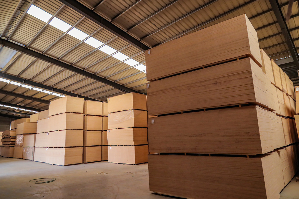 Top 10 Wood Species: Furniture Plywood Selection - Linyi Bait