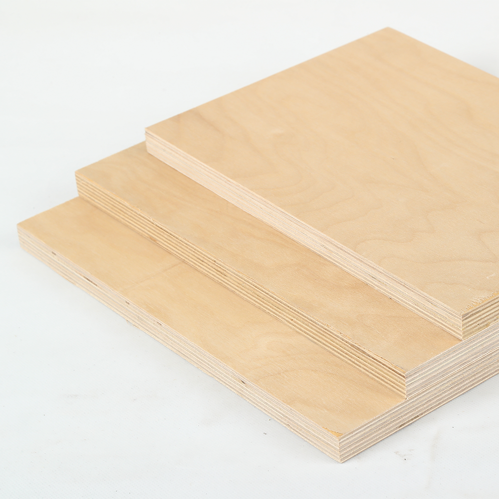 Birch Plywood - Linyi Bait